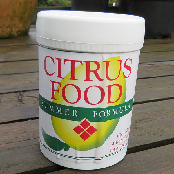 Citrus Summer Food