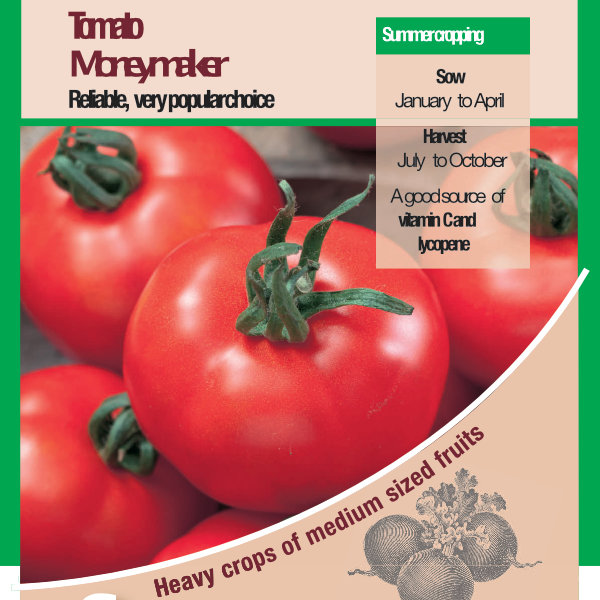 Tomato Moneymaker Size Seeds